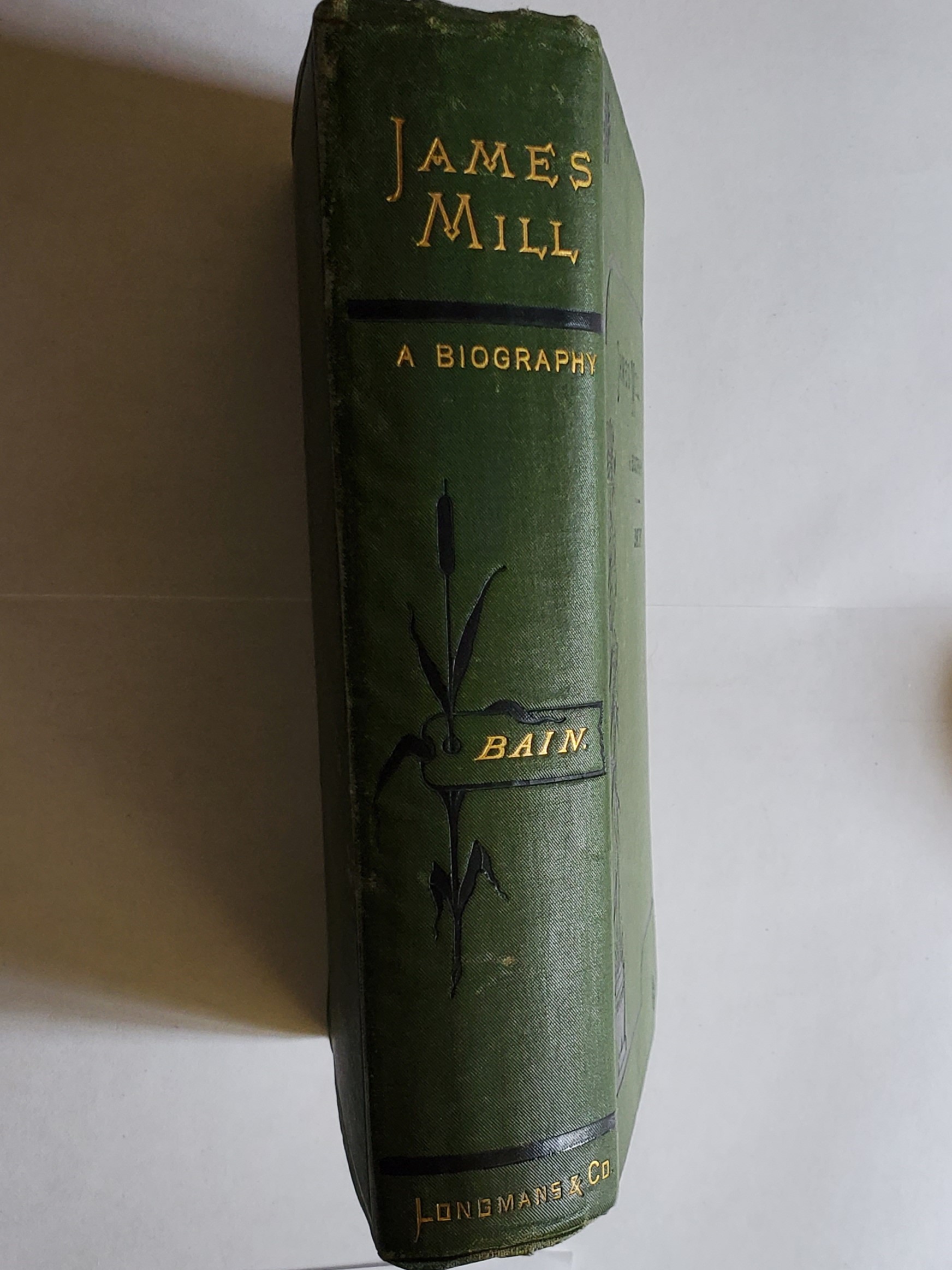 Alexander BAIN ~ James Mill. A Biography.